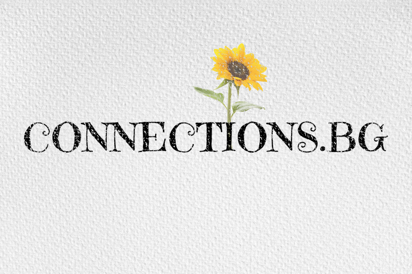 Connections.BG